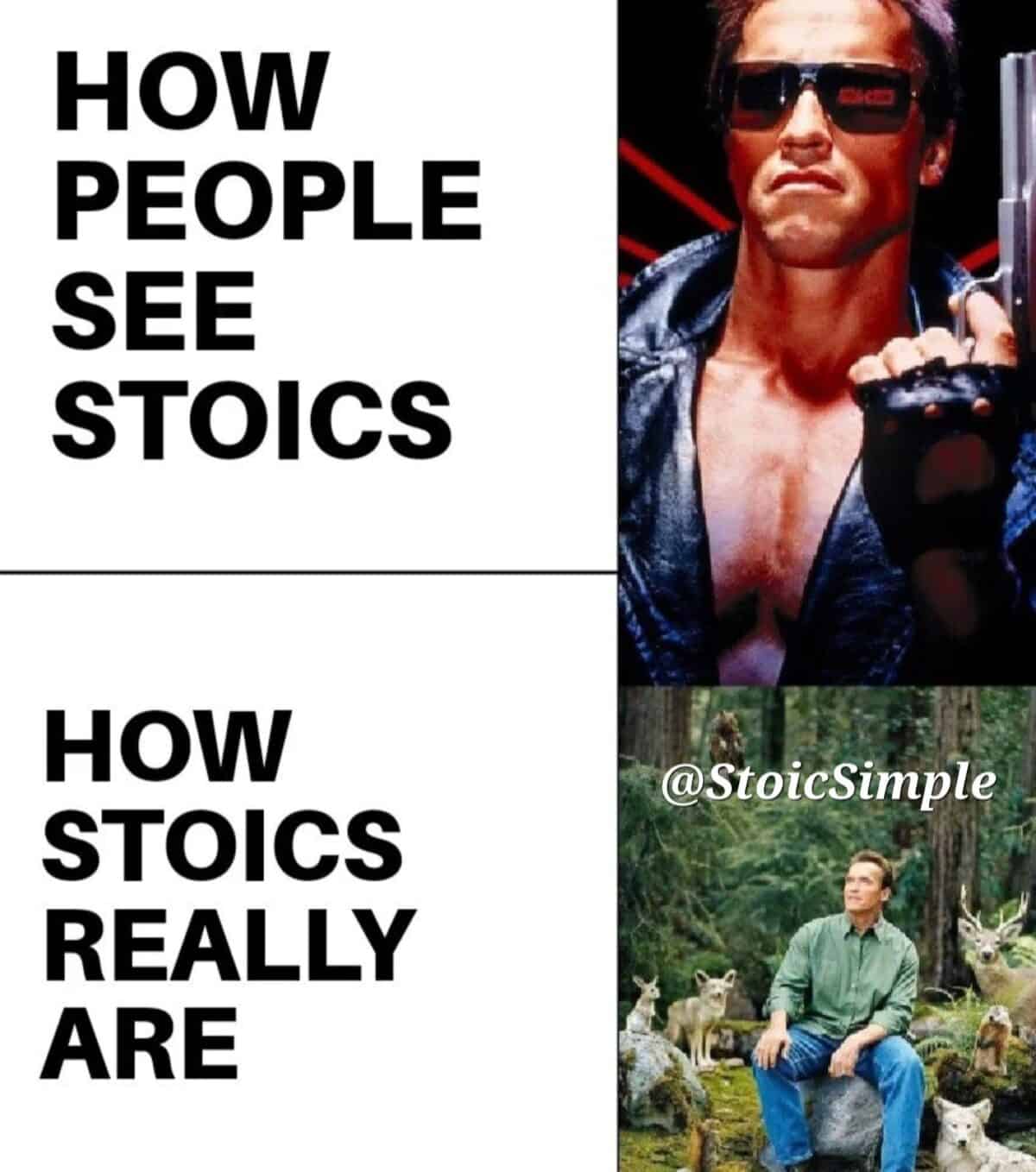 Funny Stoicism Memes: Part Three – Stoic Simple